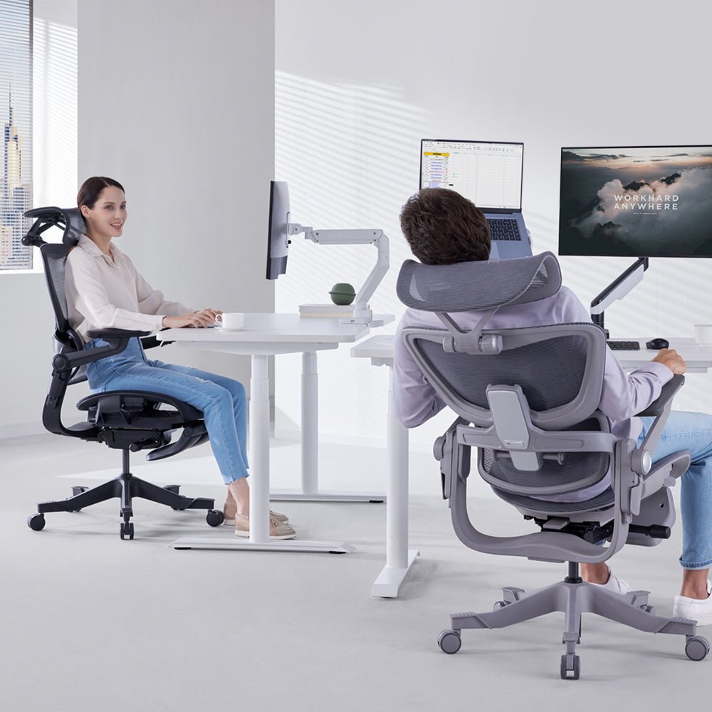 H1 Pro Ergonomic Office Chair with 3D Lumbar Support | Hinomi